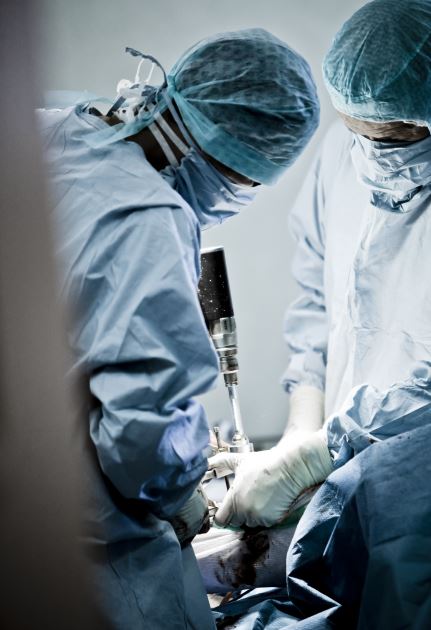 Continuité des soins en chirurgie orthopédique à la Polyclinique du ...