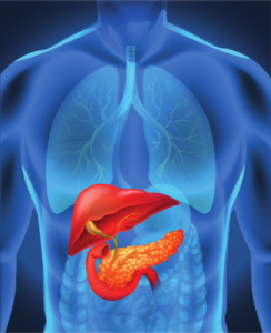 Cancer du pancréas : traitement par radiothérapie | IPRM Metz