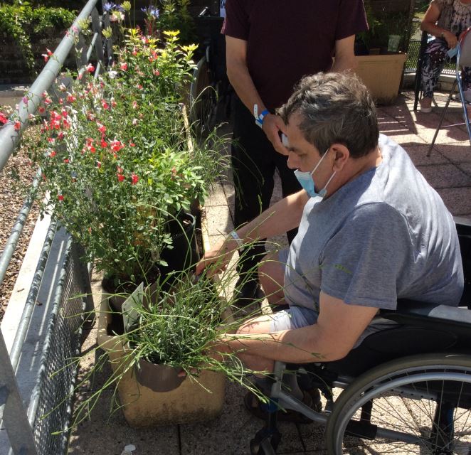 Animation jardinage et création d'une terrasse pour les patients du ...