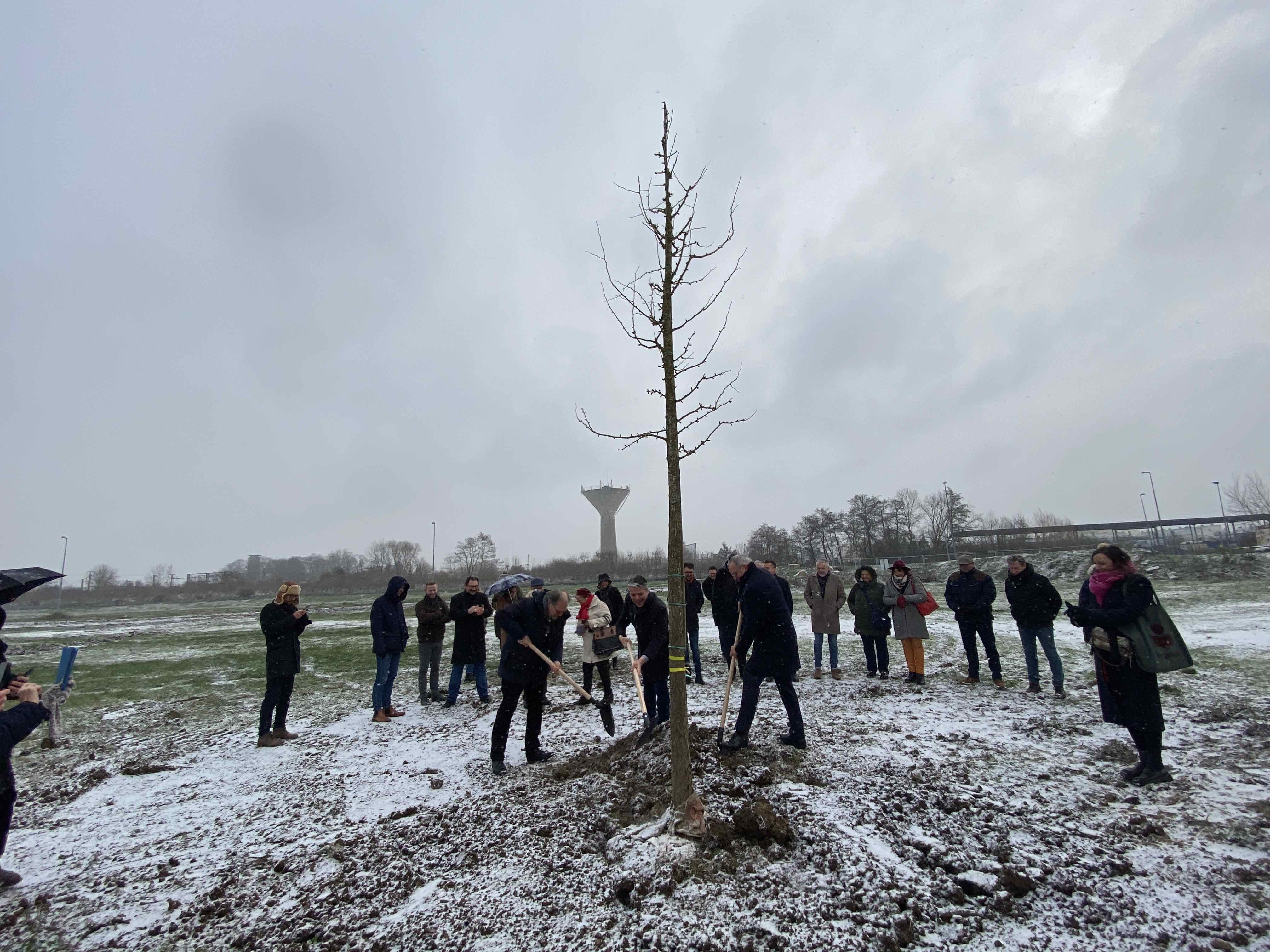 Plantation du premier arbre sur le terrain du futur Hôpital privé ELSAN ...