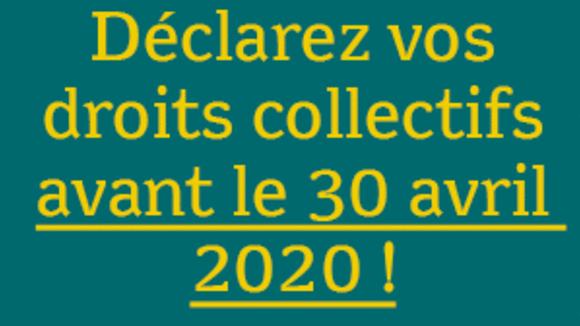 [PROLONGATION ] Déclarez vos droits collectifs avant le 30 avril 2020 ...