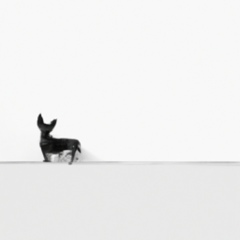 Minimalist Image Generator