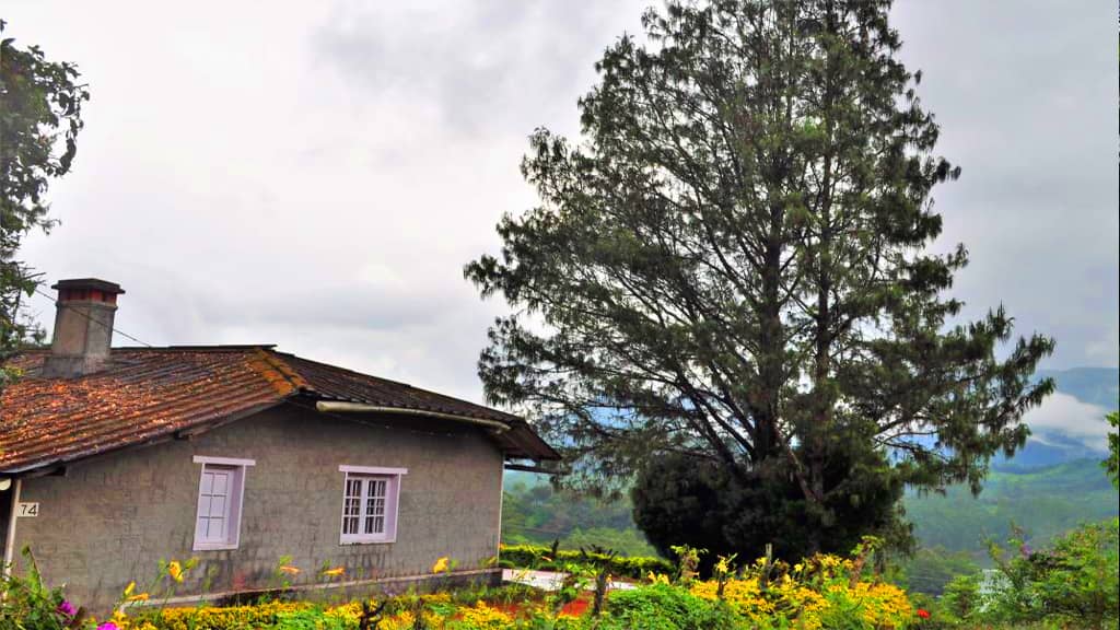 Cottage in Munnar with Tea plantation View | Lake view Resort Munnar