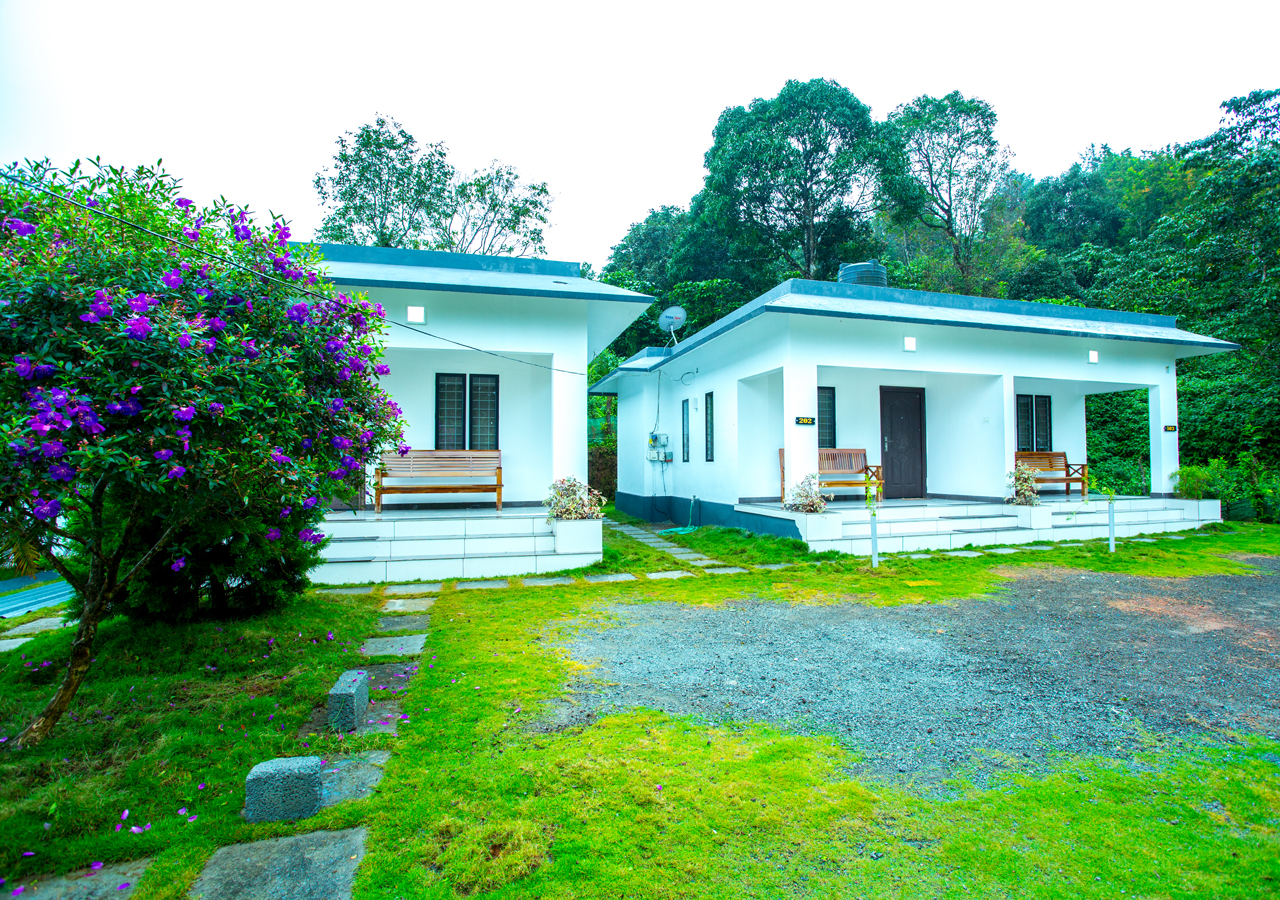 Glance over the Best Rainforest Resorts in Wayanad | Wayanad Resorts