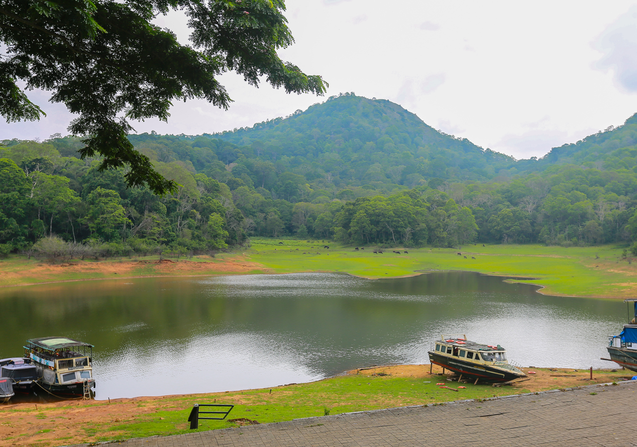 Thekkady Stays | Best Resorts in Thekkady – VOYE HOMES Spezia Natural ...
