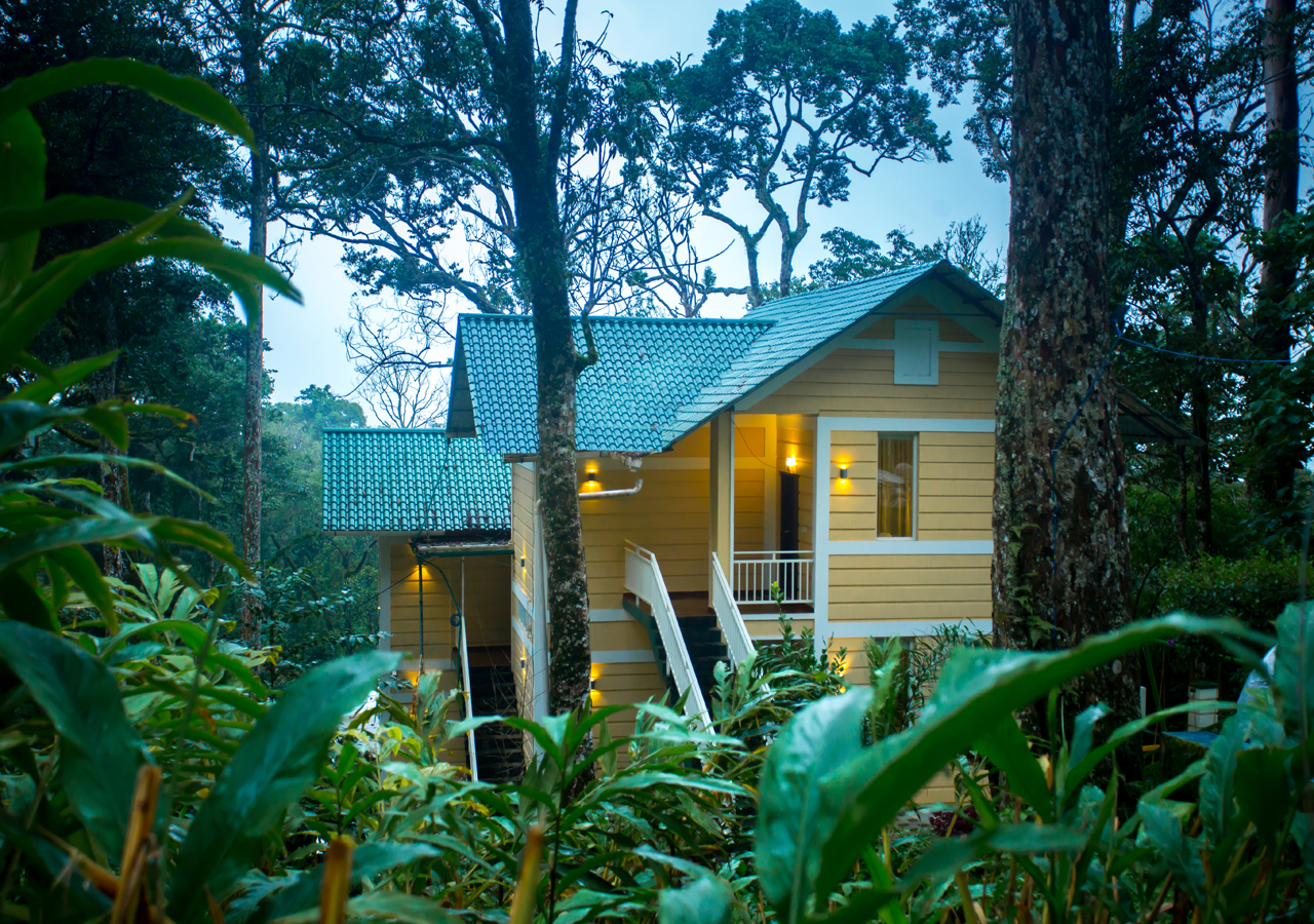 Book Villas in Munnar with Pool near Pothamedu View Point | Swimming ...