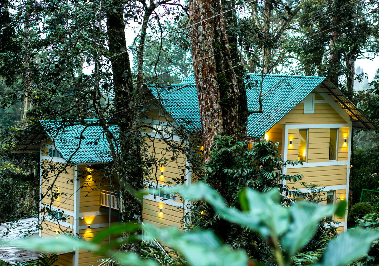 Book Villas in Munnar with Pool near Pothamedu View Point | Swimming ...