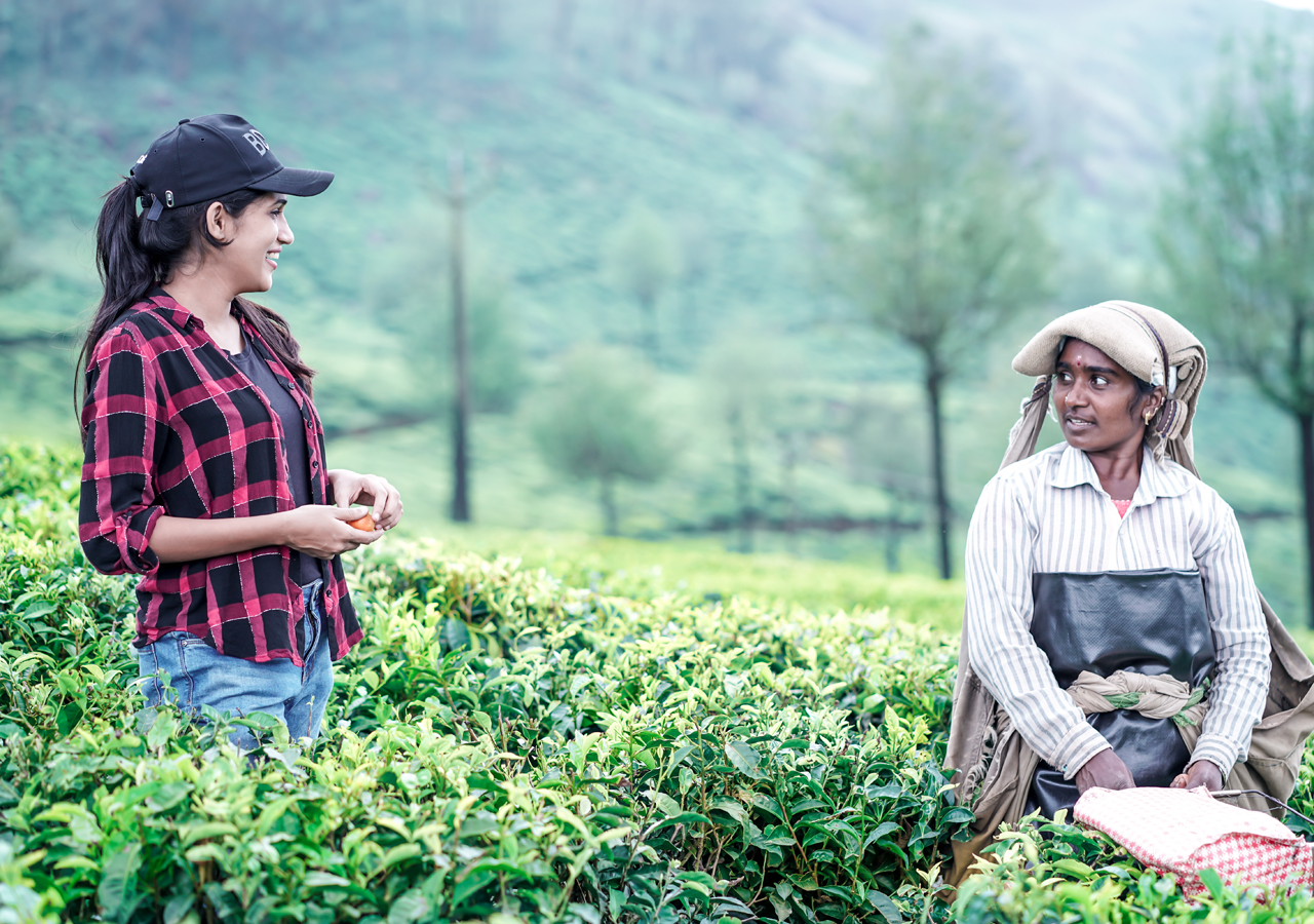 Book Villas in Munnar with Pool near Pothamedu View Point | Swimming ...