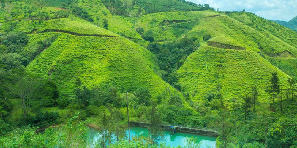 Vagamon Cottage near Mottakunnu | Mountain View Resort in Vagamon Kerala