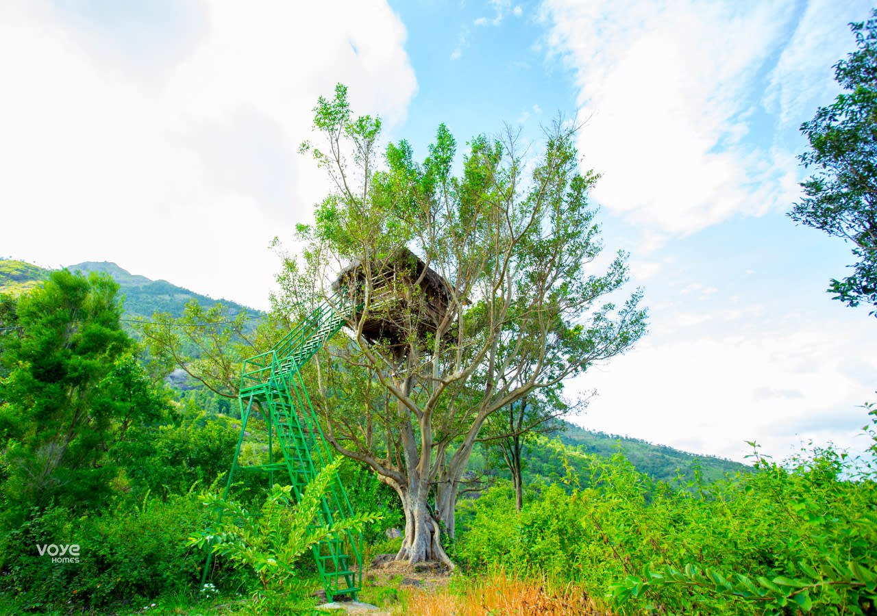 Forest Resort in Kanthalloor, Munnar with Private Waterfalls & Tree ...