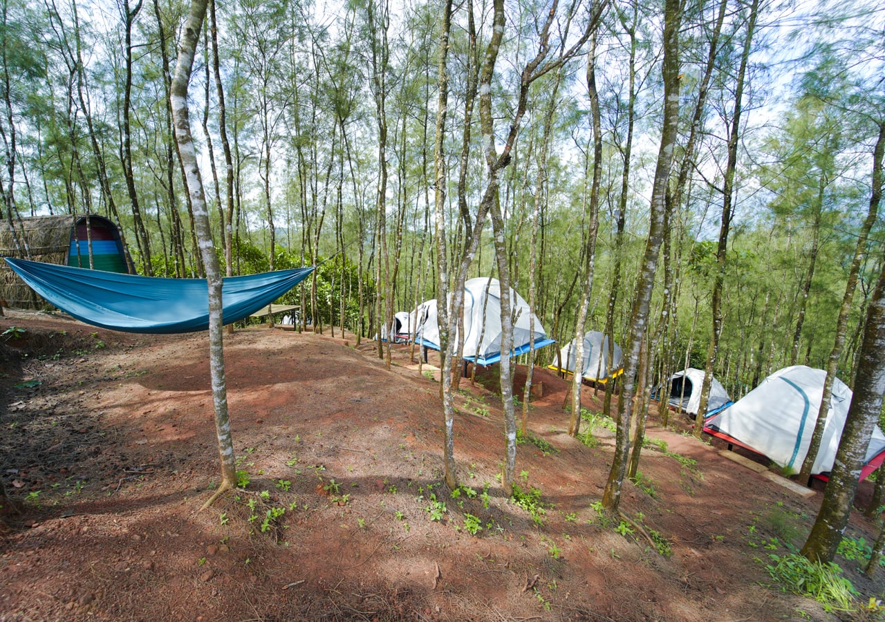 Attappadi Tent Stay in Pine Forest with Pool & Trekking | Attappadi Tourism
