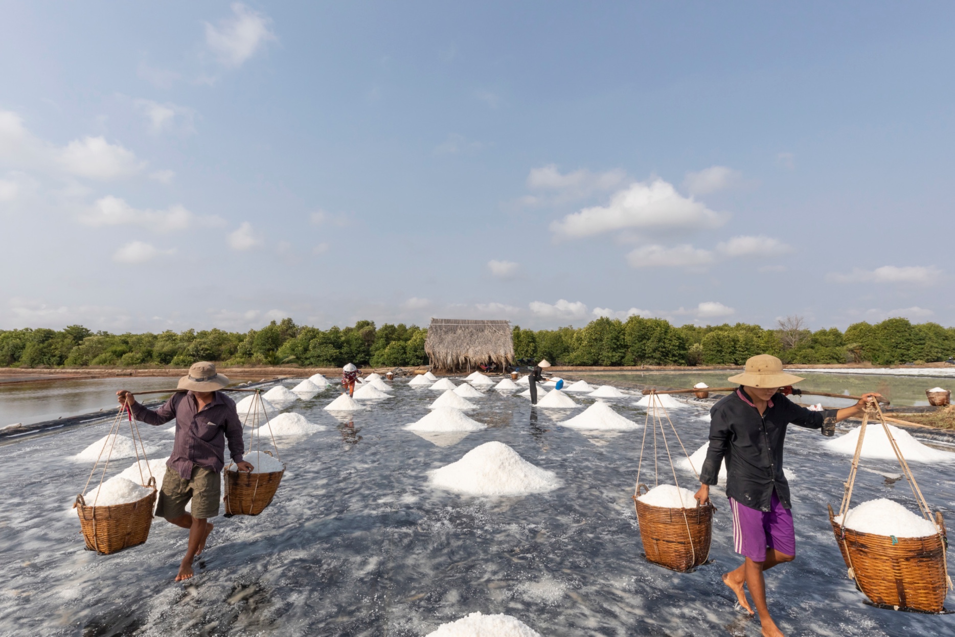 Vietnamese Culture → Customs, People, Traditions & History