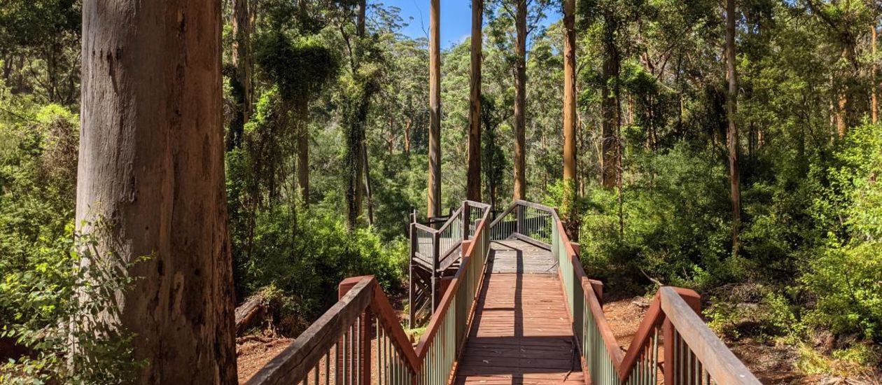 Shannon National Park - WA Parks Foundation