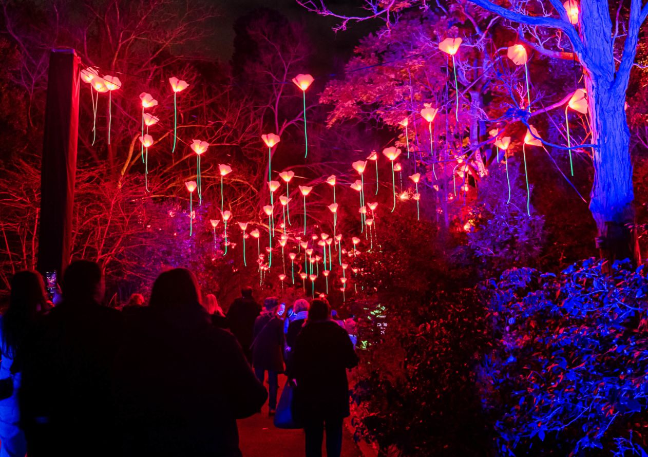 Lightscape set to amaze and delight - WA Parks Foundation