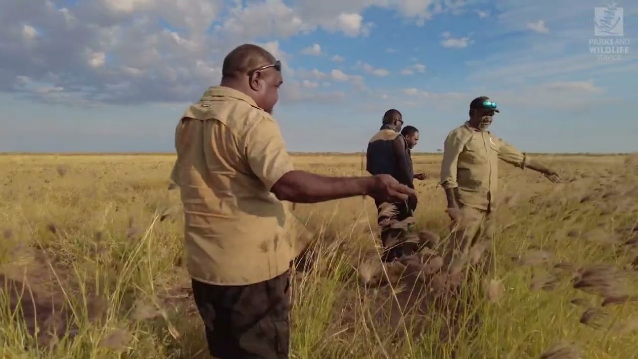 New Round Of Funding For Aboriginal Ranger Program Wa Parks Foundation