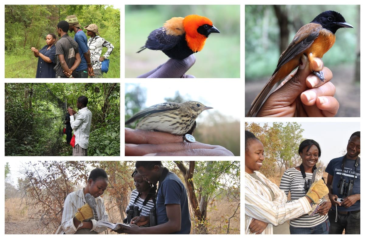 The A.P. Leventis Ornithological Research Institute (APLORI)