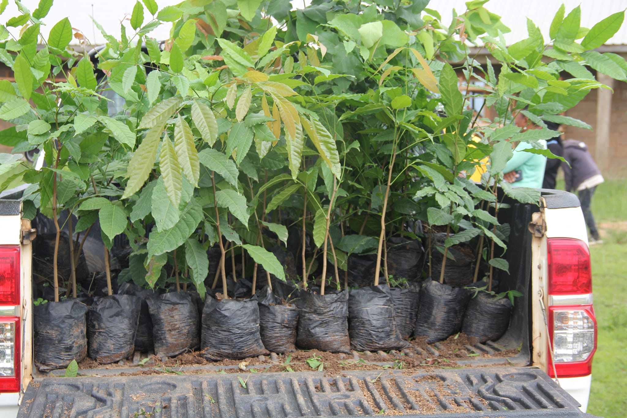 The A.P. Leventis Ornithological Research Institute (APLORI)