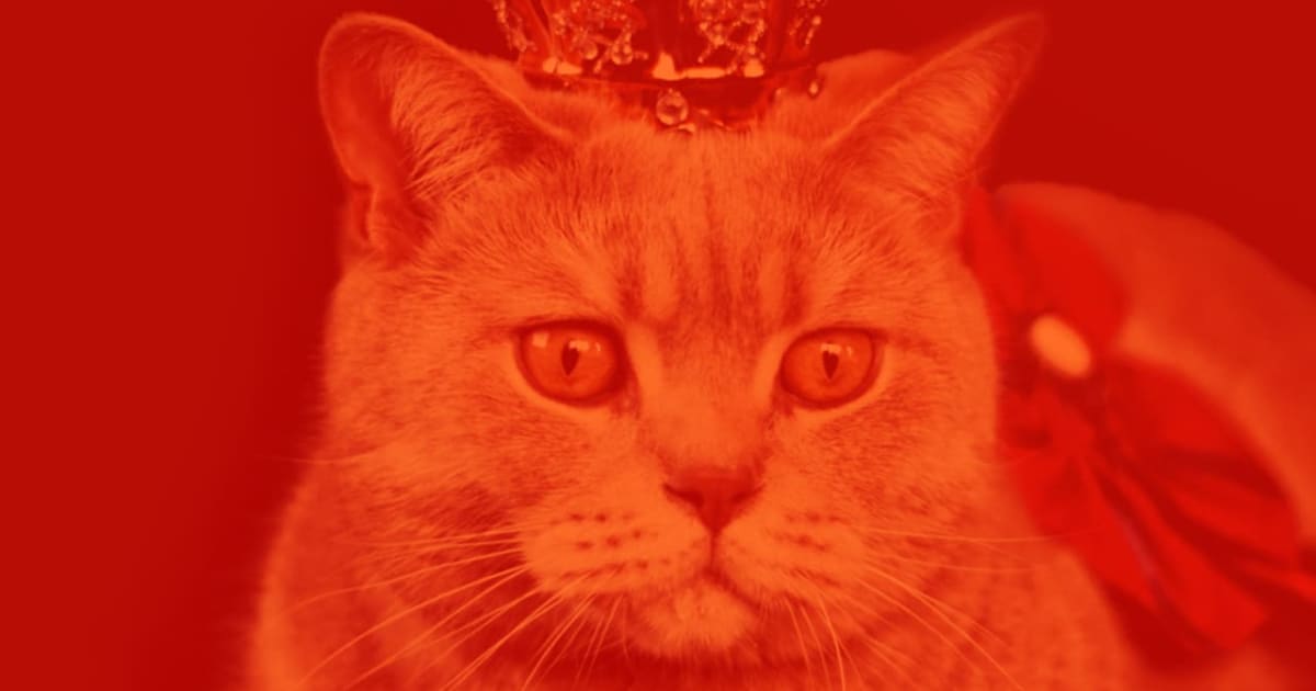 Cat Royale | Wales Millennium Centre