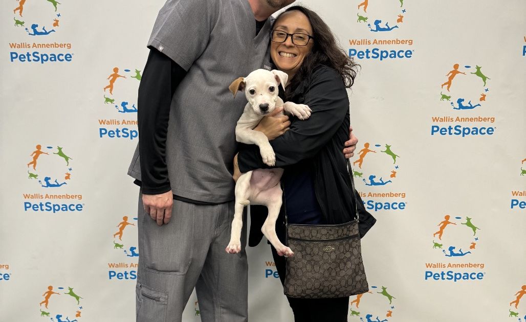 Annenberg PetSpace | Pegasus