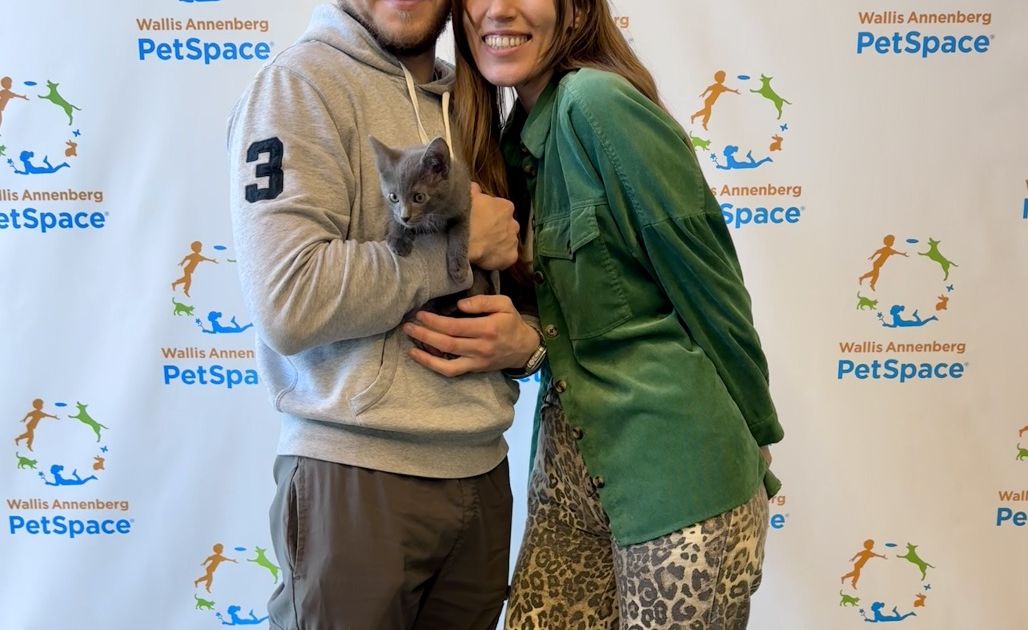 Annenberg PetSpace | Grant