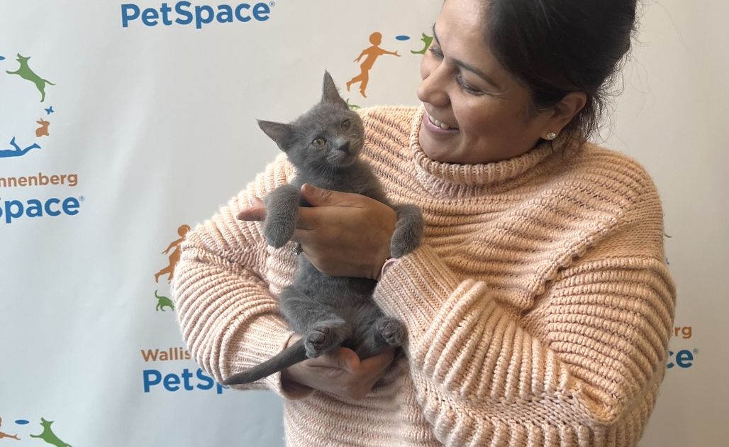 Annenberg PetSpace | Earl Gray