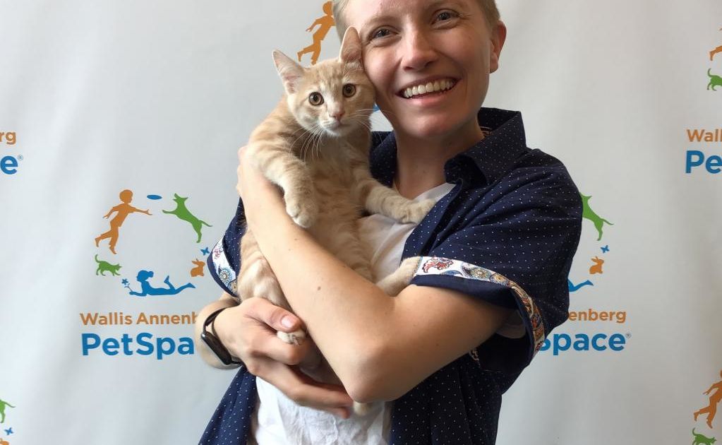 Annenberg PetSpace | Donut