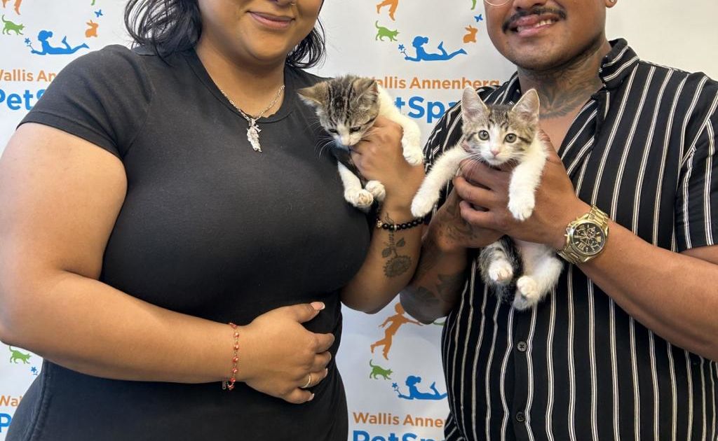 Annenberg PetSpace | Bella