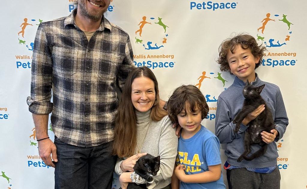 Annenberg PetSpace | Rhett