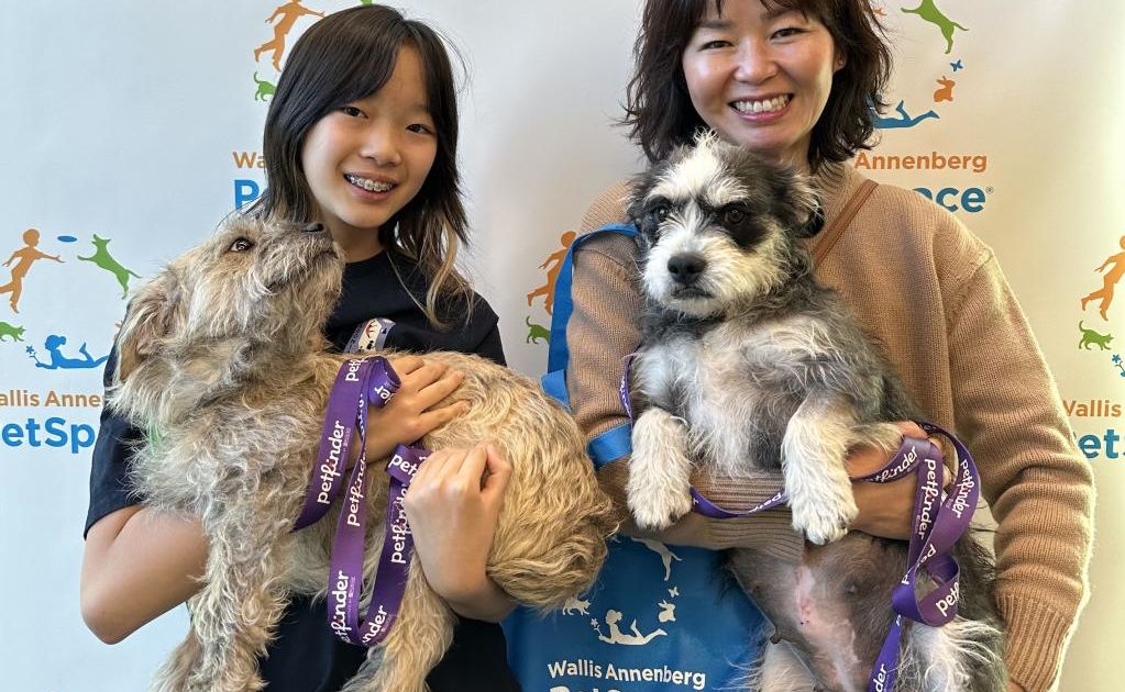 Annenberg PetSpace | Mae