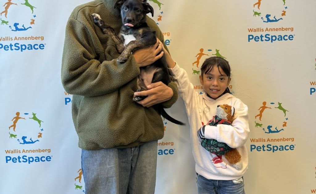 Annenberg PetSpace | Smoky