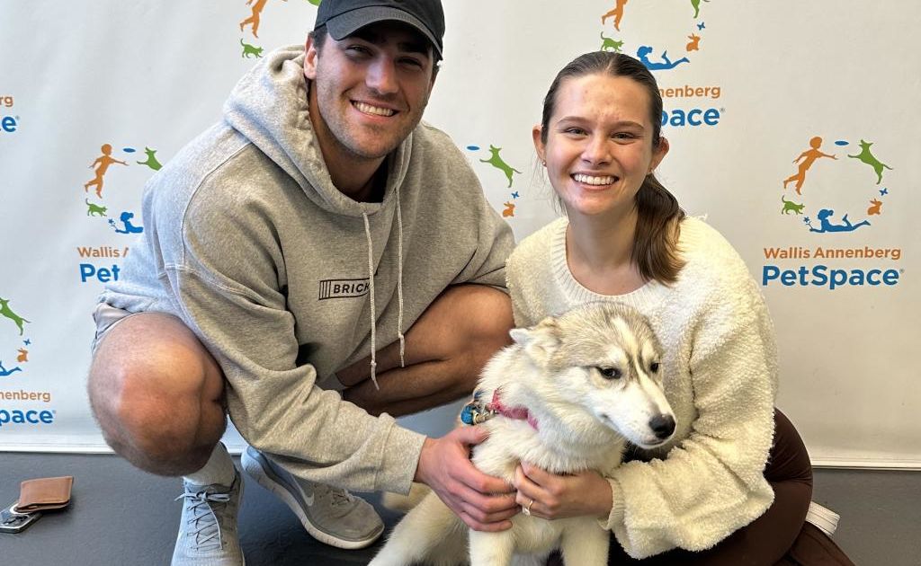 Annenberg PetSpace | Willow