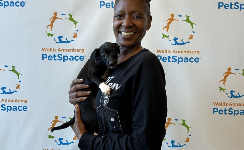 Annenberg PetSpace | Mars