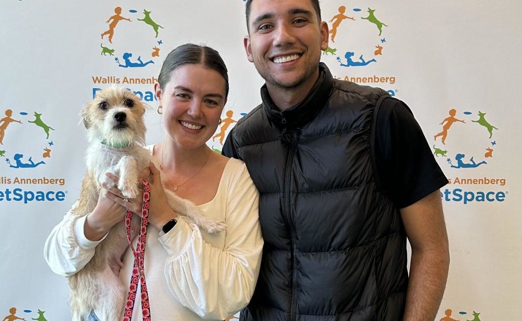 Annenberg PetSpace | Milk