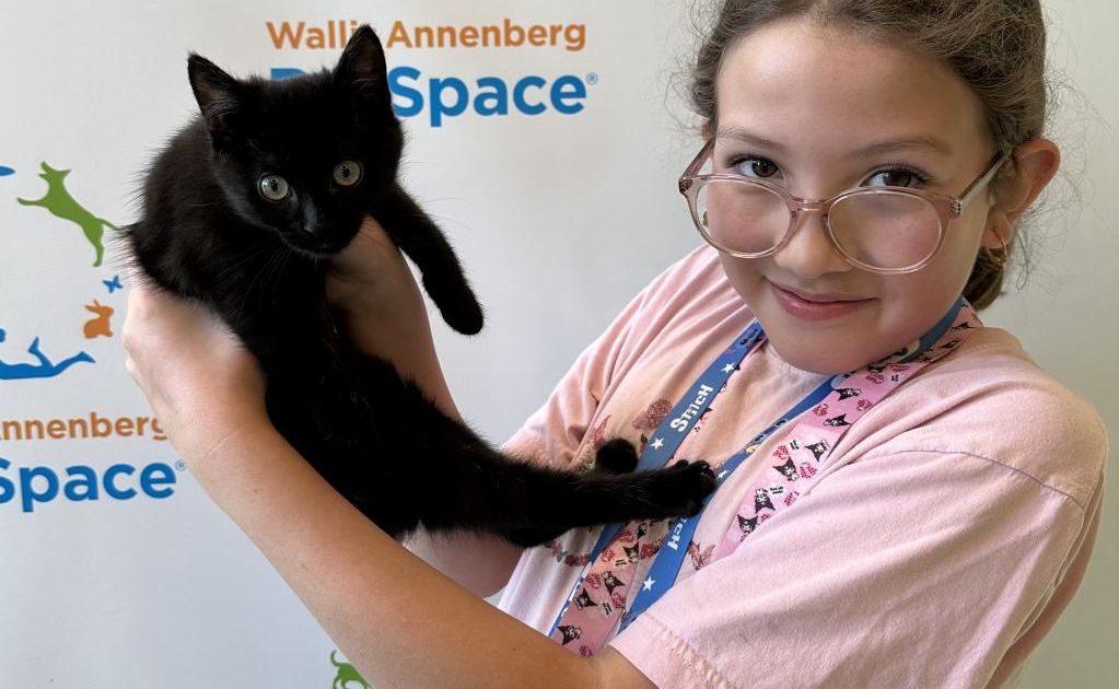 Annenberg PetSpace | Sophie