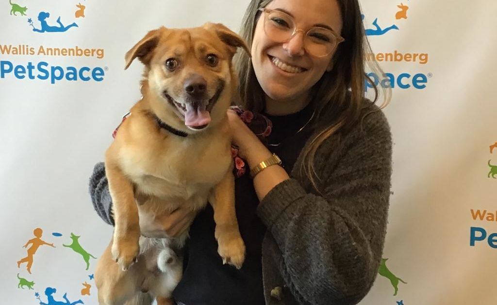 Annenberg PetSpace | Cooper