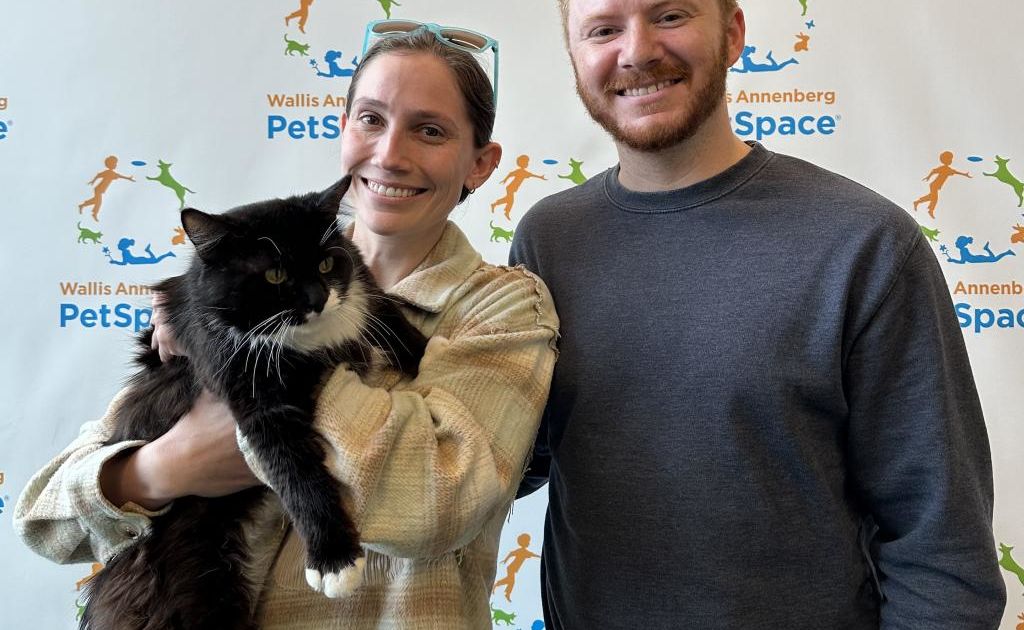 Annenberg PetSpace | Dorian