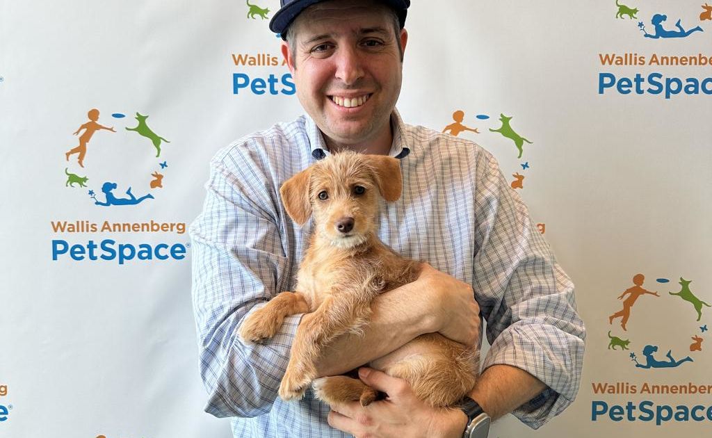 Annenberg PetSpace | Sophia