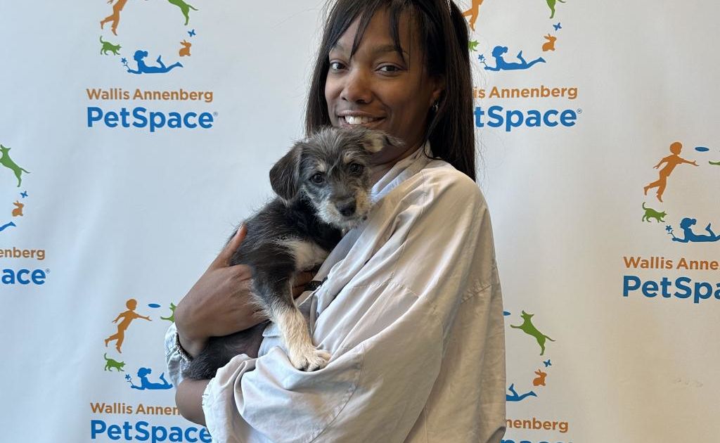 Annenberg PetSpace | Blanche