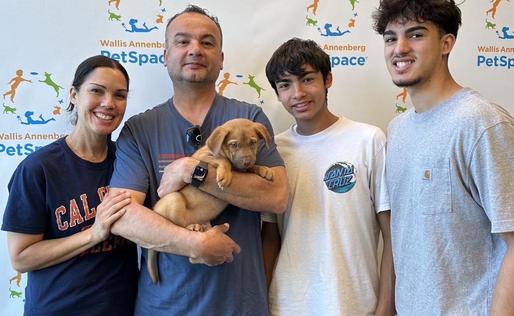 Annenberg PetSpace | Haiku