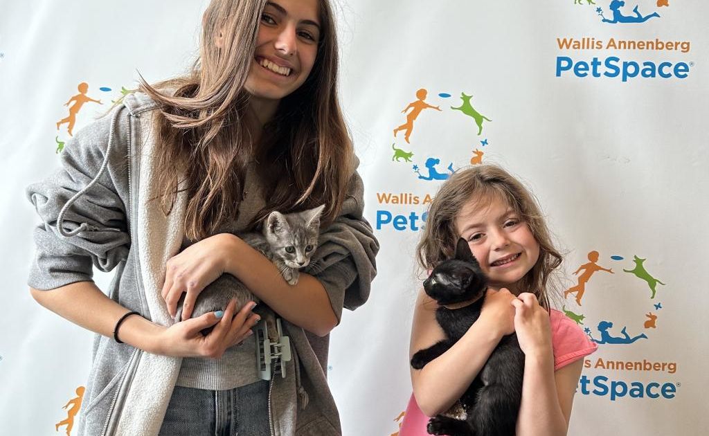 Annenberg PetSpace | Citrine