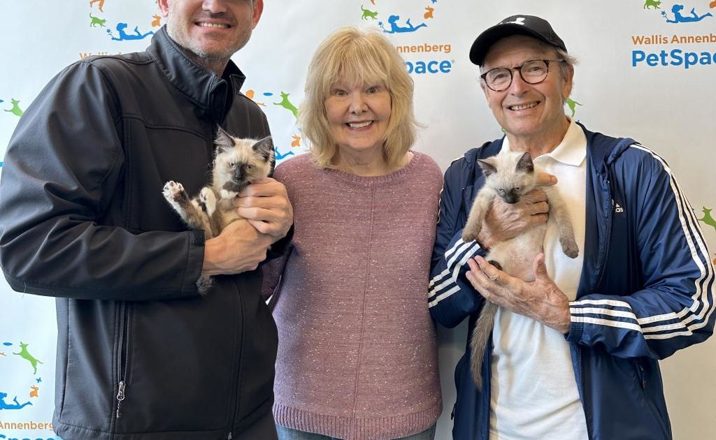 Annenberg PetSpace | Ladybug