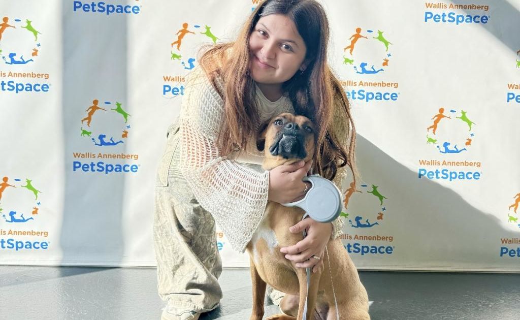 Annenberg PetSpace | Duchess
