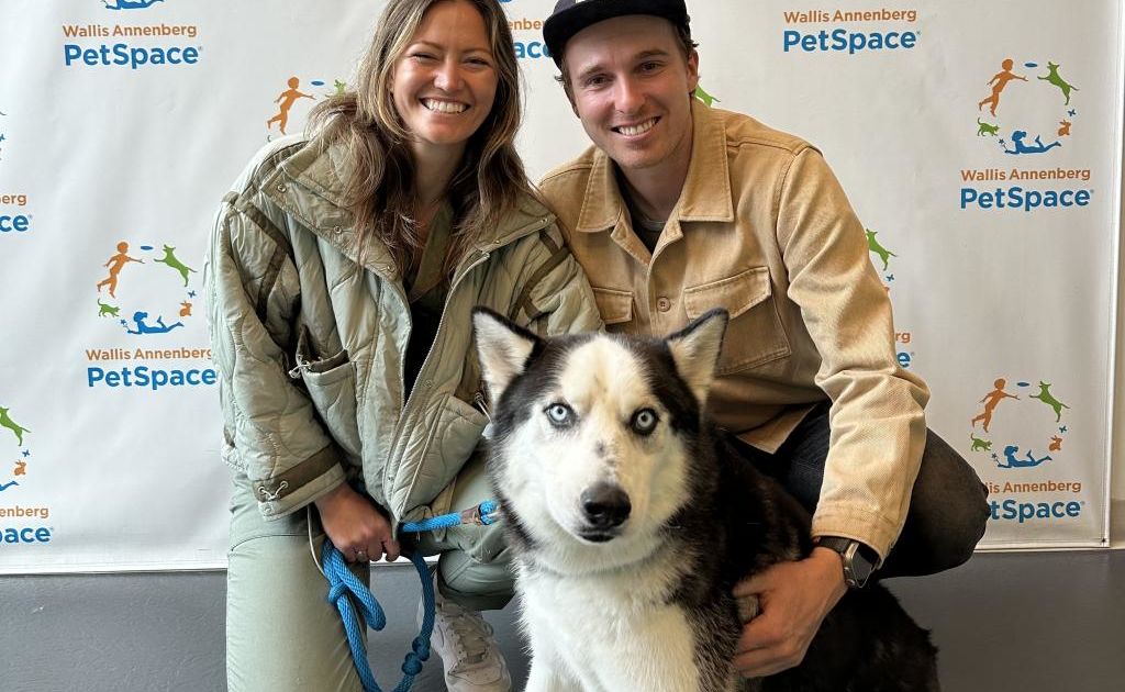 Annenberg PetSpace | Blaze