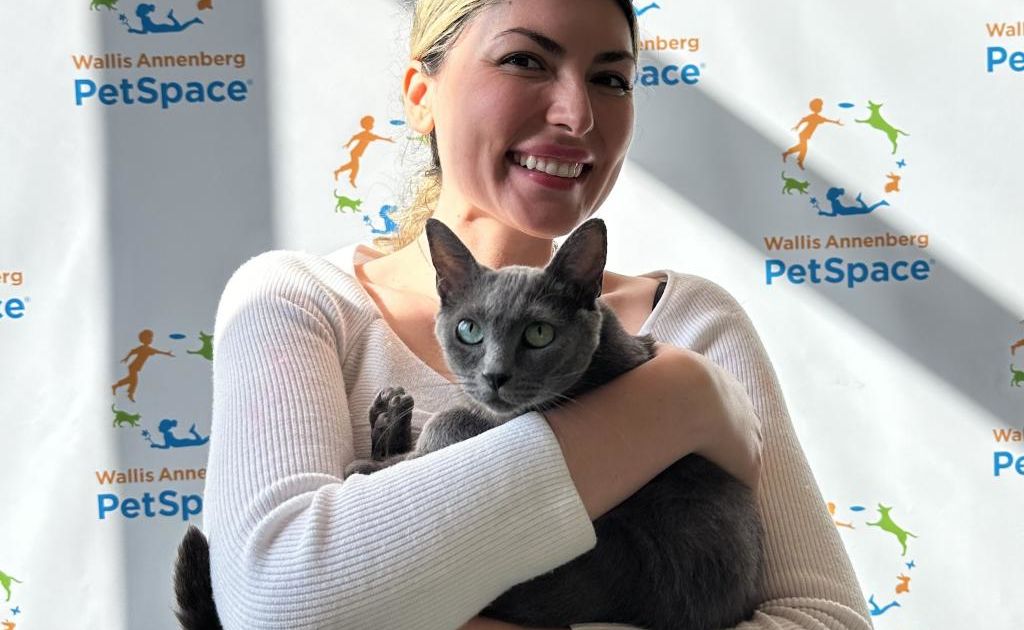 Annenberg PetSpace | Aquamarine