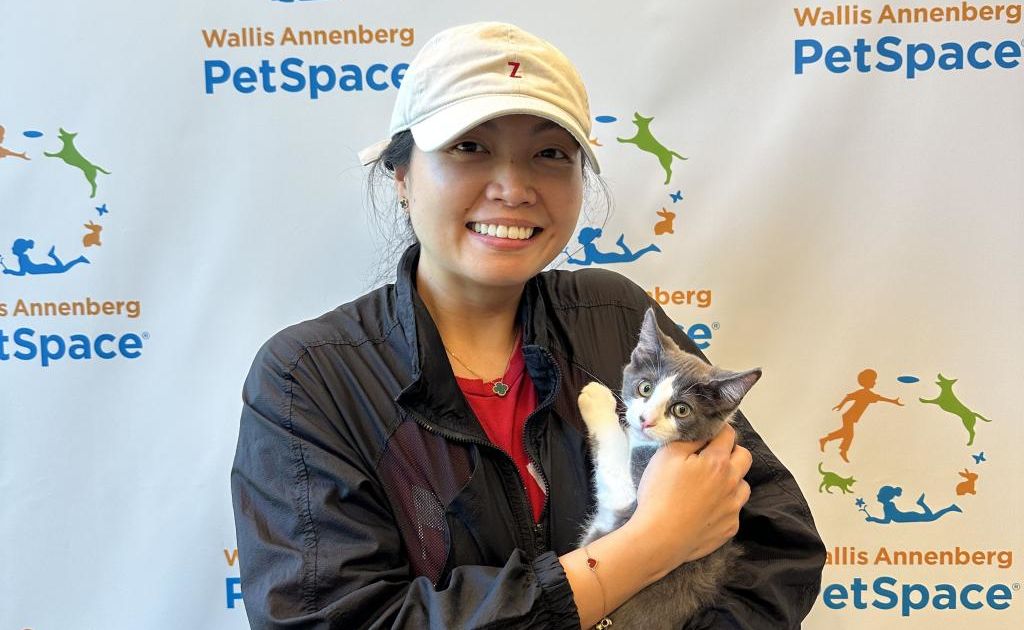 Annenberg PetSpace | Pita