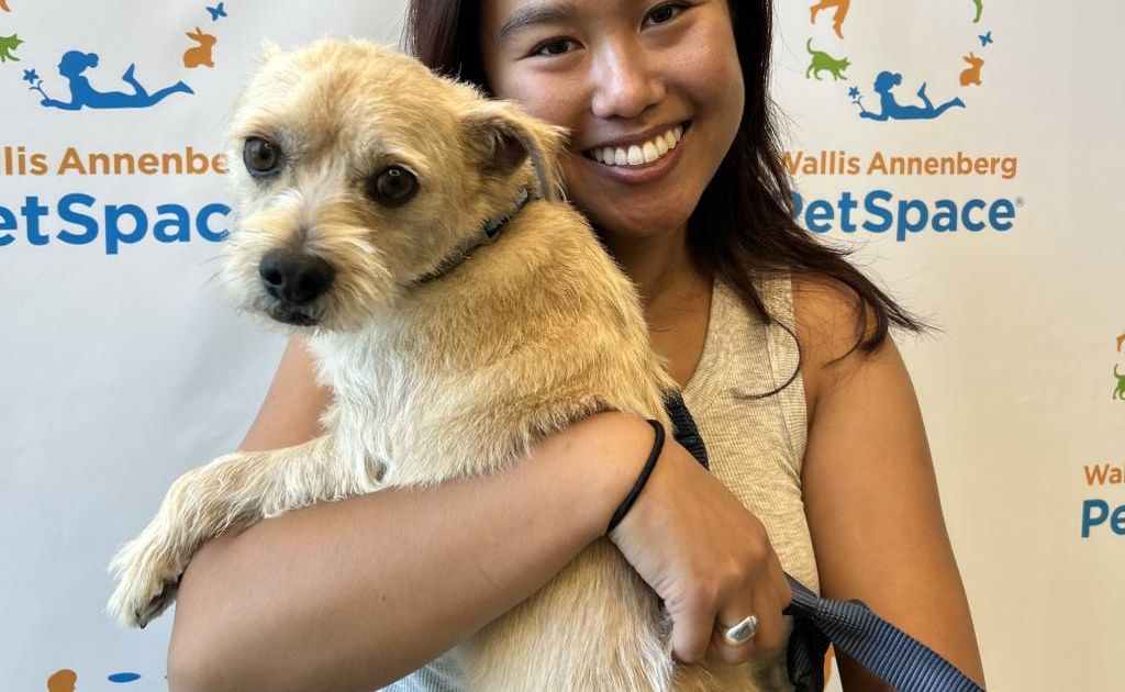 Annenberg PetSpace | Jasper