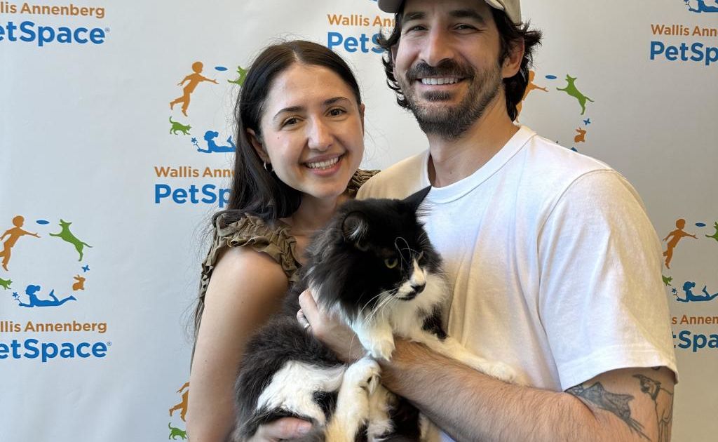 Annenberg PetSpace | Caspian