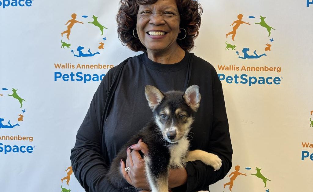 Annenberg PetSpace | Cheer