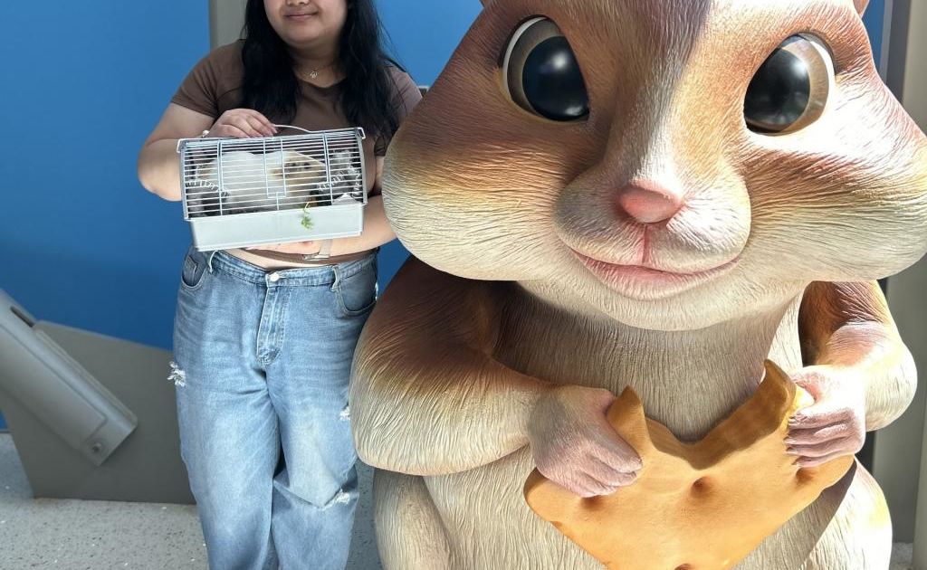 Annenberg PetSpace | Sigfried