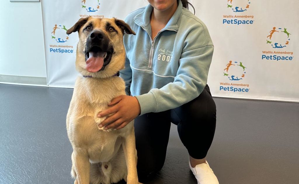 Annenberg PetSpace | Monty